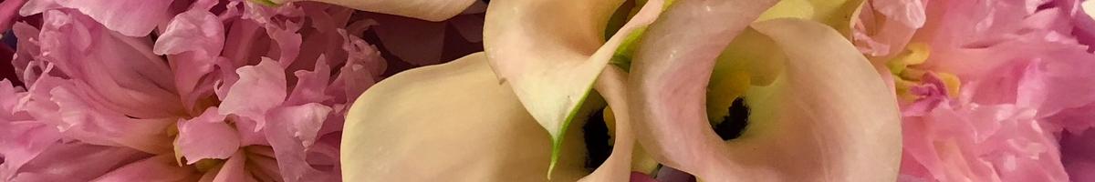 Home, Auto Insurance & More in GA | Angela Matthews – State Farm®