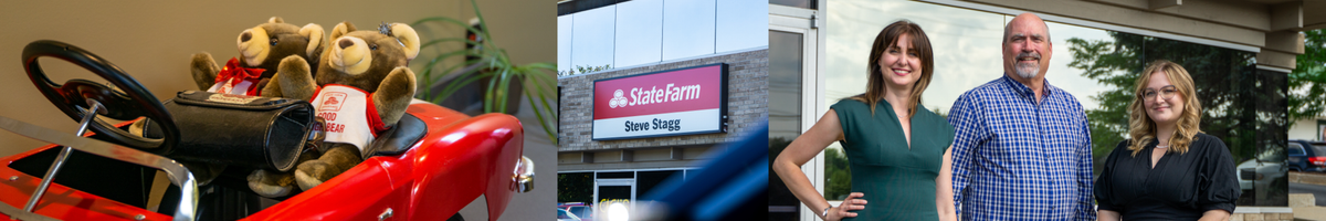 MI Auto & Home Insurance Agent Steve Stagg - State Farm®