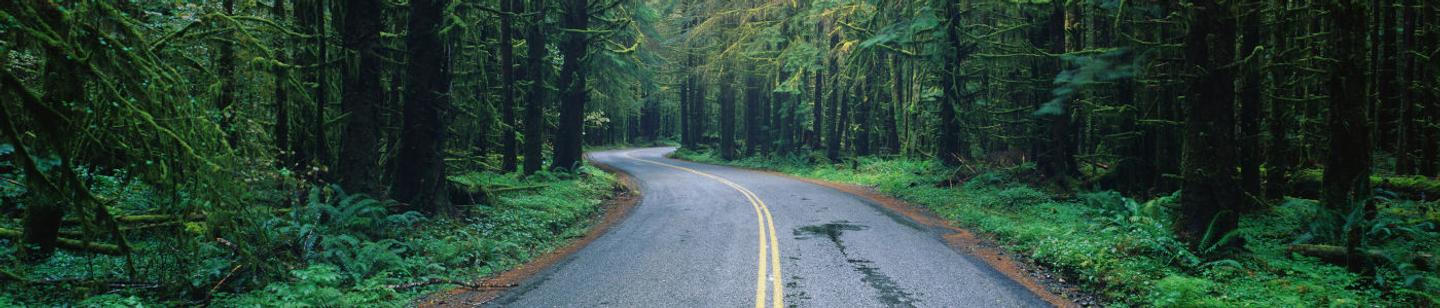 TN Auto & Home Insurance Agent Mike Lewis - State Farm®