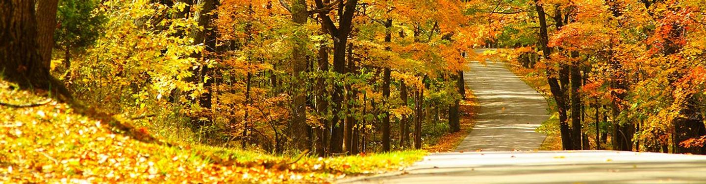 Home, Auto Insurance & More in MN | Ryan Esse – State Farm®