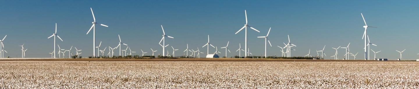 State Farm Insurance Agent Laura Edge in Odessa TX