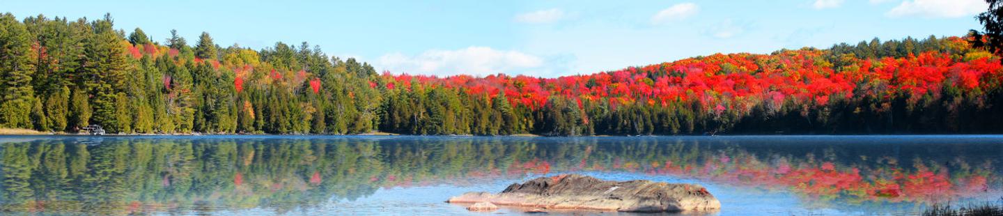 Home, Auto Insurance & More in TX | Ray Scott – State Farm®