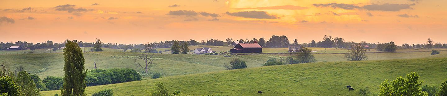 KY Auto & Home Insurance Agent Michael Venable - State Farm®