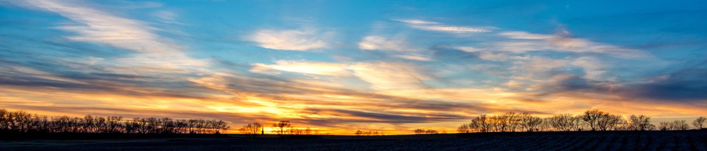 Home, Auto Insurance & More in TX | Angelica Vasquez – State Farm®