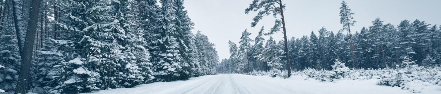 MN Auto & Home Insurance Agent Wayne Swart - State Farm®