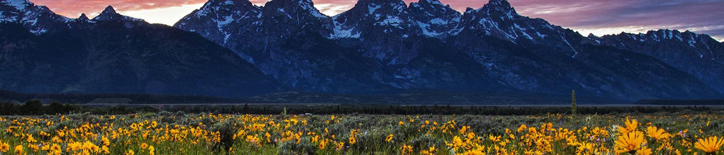 AL Auto & Home Insurance Agent Tim Roberts - State Farm®