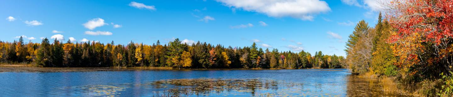 Home, Auto Insurance & More in LA | Caleb Lonsberry – State Farm®