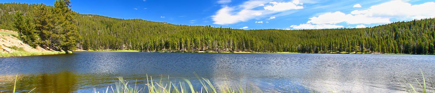 PA Auto & Home Insurance Agent Matt Frye - State Farm®