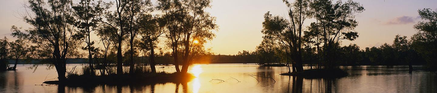 Home, Auto Insurance & More in LA | Tag Rome – State Farm®