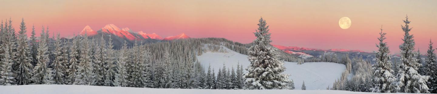 IL Auto & Home Insurance Agent Randy Begole - State Farm®