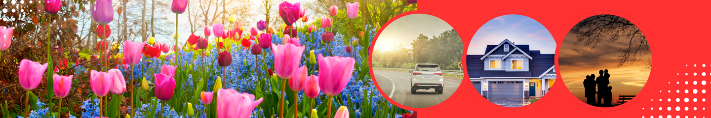 Home, Auto Insurance & More in IL | Michelle Twitchell – State Farm®