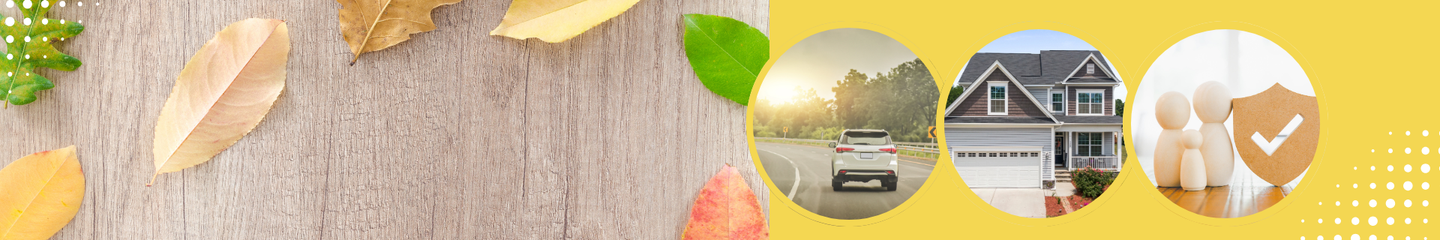 IL Auto & Home Insurance Agent Brian Stolper - State Farm®