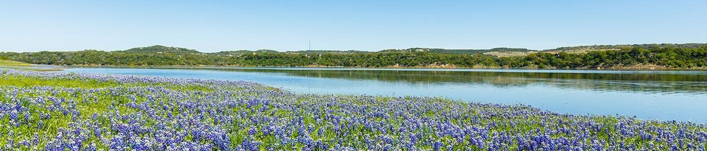 Allen Pitts – Dallas, TX State Farm® agent