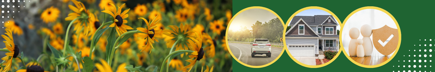 Home, Auto Insurance & More in IL | Jim Tom – State Farm®