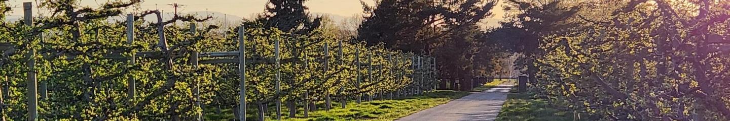 State Farm® Yakima | Auto, Home, Life Insurance Agency