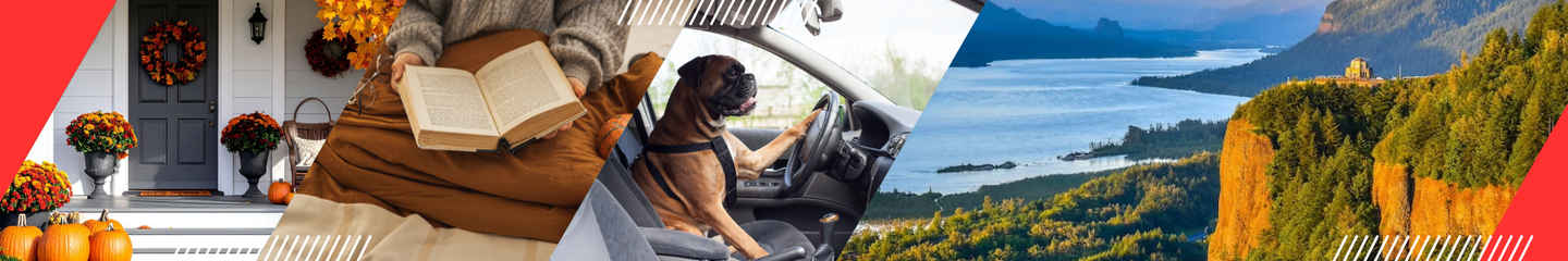 WA Auto & Home Insurance Agent Kim Baldini-Janke - State Farm®