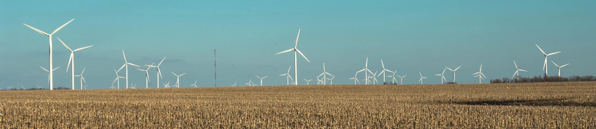 TX Auto & Home Insurance Agent Laura Edge - State Farm®