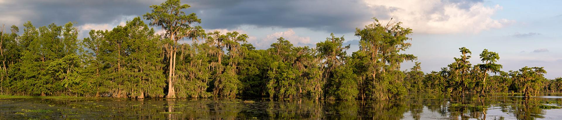 State Farm Insurance Agent Neil Klemme in West Lafayette IN