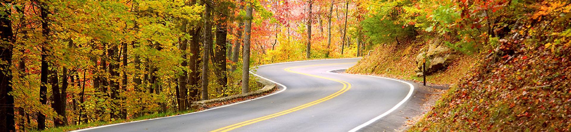 CT Auto & Home Insurance Agent Tom Huse - State Farm®