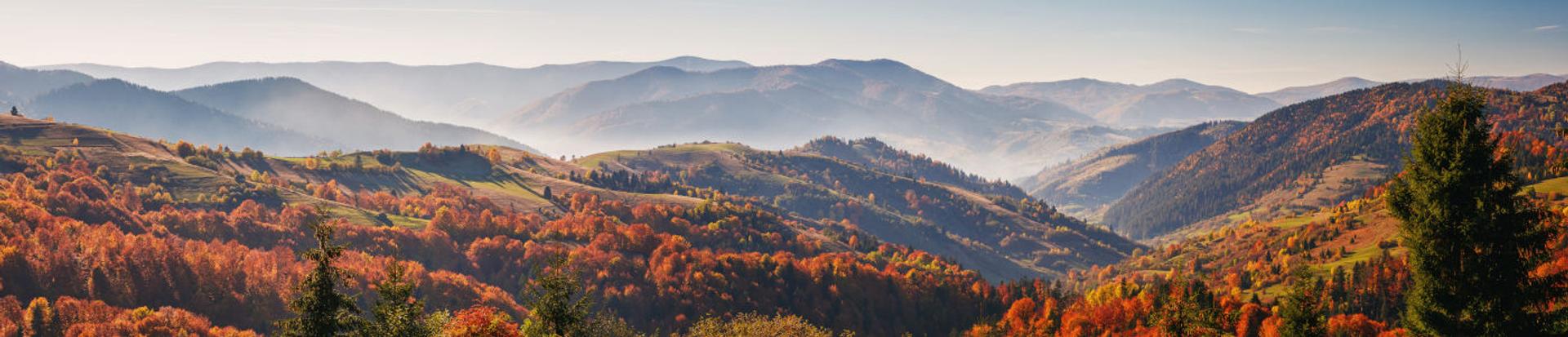 TN Auto & Home Insurance Agent Ron Mathews - State Farm®