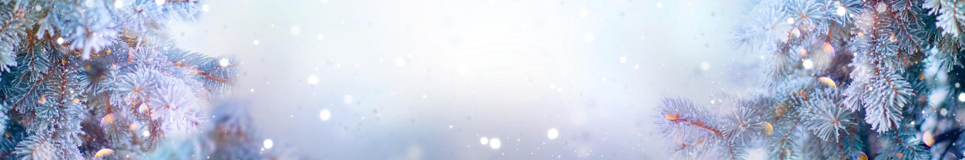 WA Auto & Home Insurance Agent Ariel Garza - State Farm®