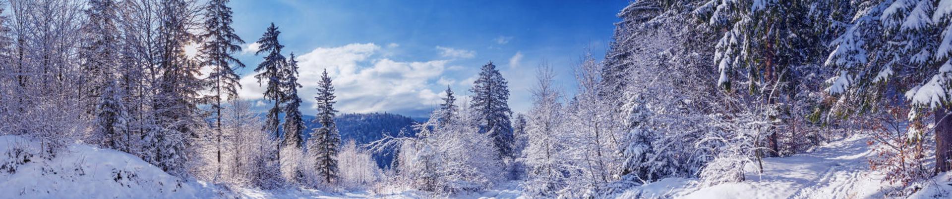 Home, Auto Insurance & More in ME | Janet Slade – State Farm®