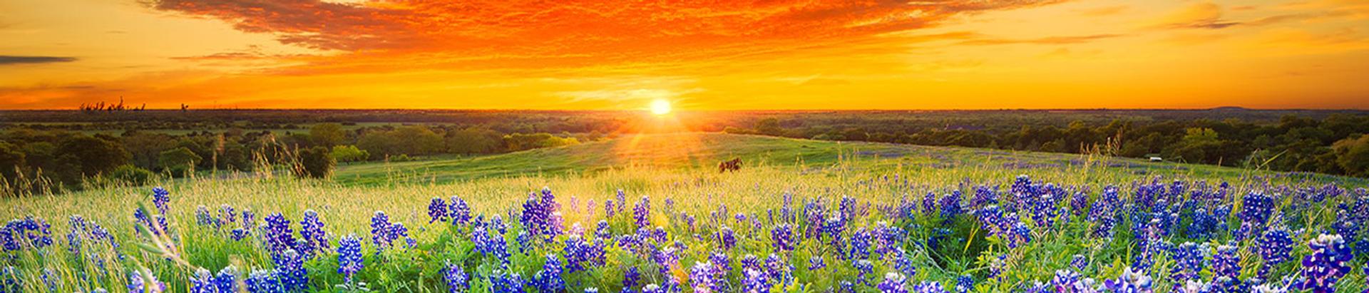 TX Auto & Home Insurance Agent Scott Shuff - State Farm®