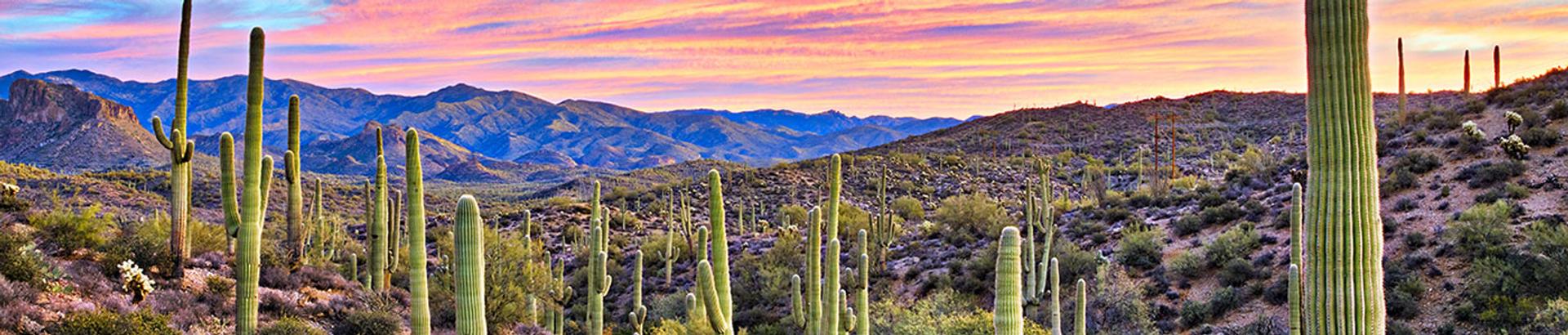 AZ Auto & Home Insurance Agent Randy Shoemaker - State Farm®