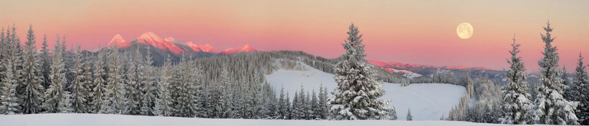 Home, Auto Insurance & More in IL | Ted Lauder – State Farm®