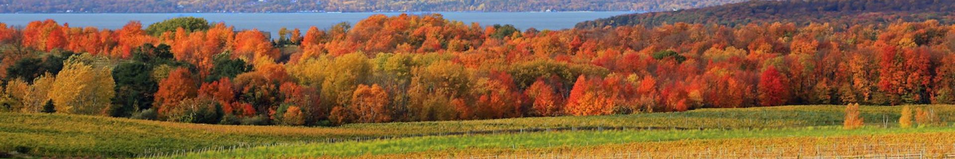 Susan Rauser – Traverse City, MI State Farm® Agent