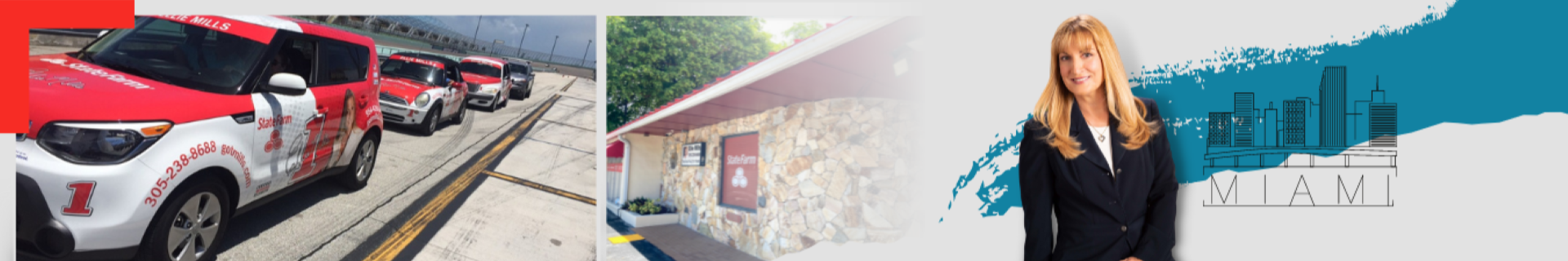 FL Auto & Home Insurance Agent Ellie Mills - State Farm®