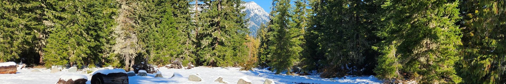 State Farm® Yakima | Auto, Home, Life Insurance Agency