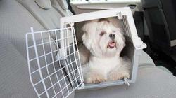 IL Auto & Home Insurance Agent Kevin Smith - State Farm®