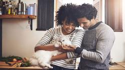 NV Auto & Home Insurance Agent Joe Janet - State Farm®