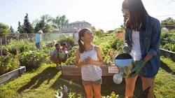 KY Auto & Home Insurance Agent Gina Hopper - State Farm®