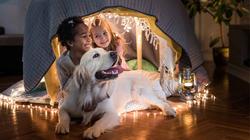 Home, Auto Insurance & More in TN | Warren Hodges – State Farm®