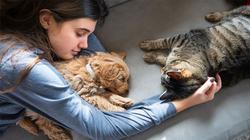 MD Auto & Home Insurance Agent Anna Valvi - State Farm®