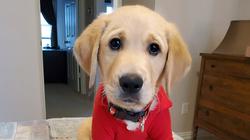 Norman OK State Farm Insurance Agent Larry Potts