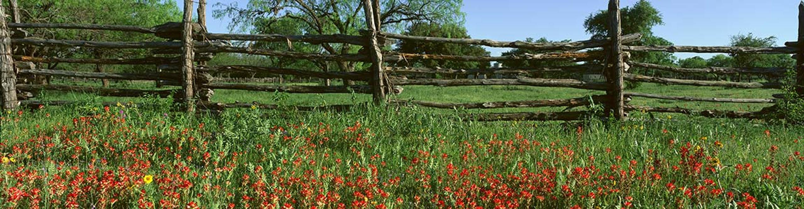 TX Auto & Home Insurance Agent Dalton Lipsey - State Farm®