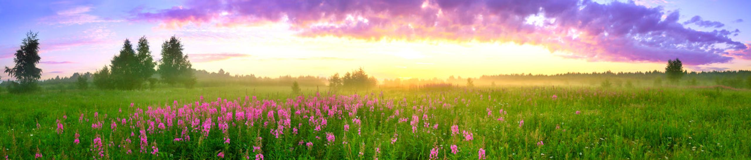 FL Auto & Home Insurance Agent Jessica Cruz Phung - State Farm®