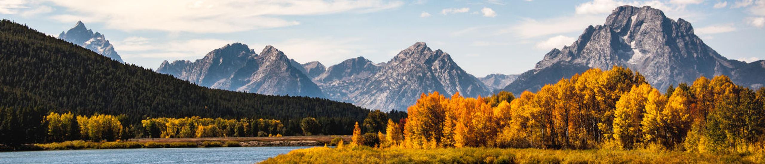 TX Auto & Home Insurance Agent Frank Buchanan - State Farm®