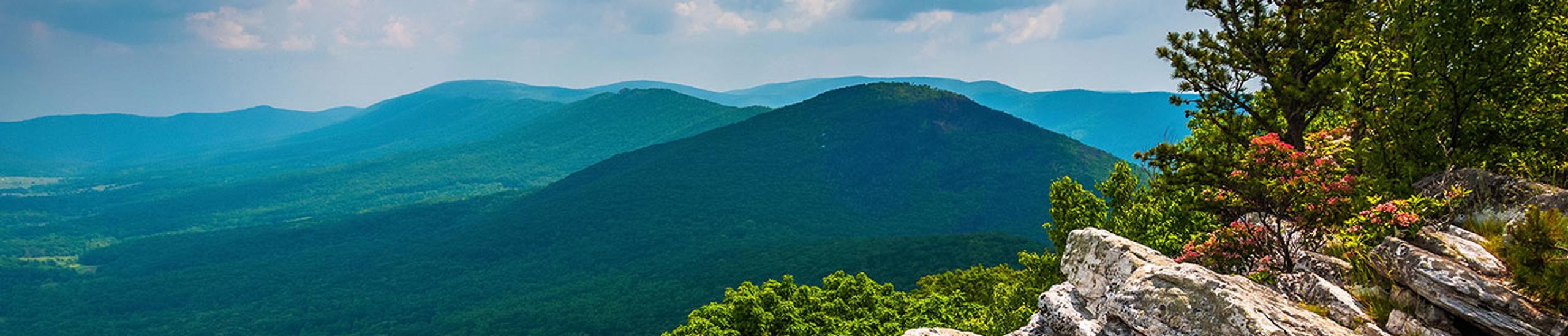 Insurance Agent Rick Bailey in Fairmont WV – State Farm®