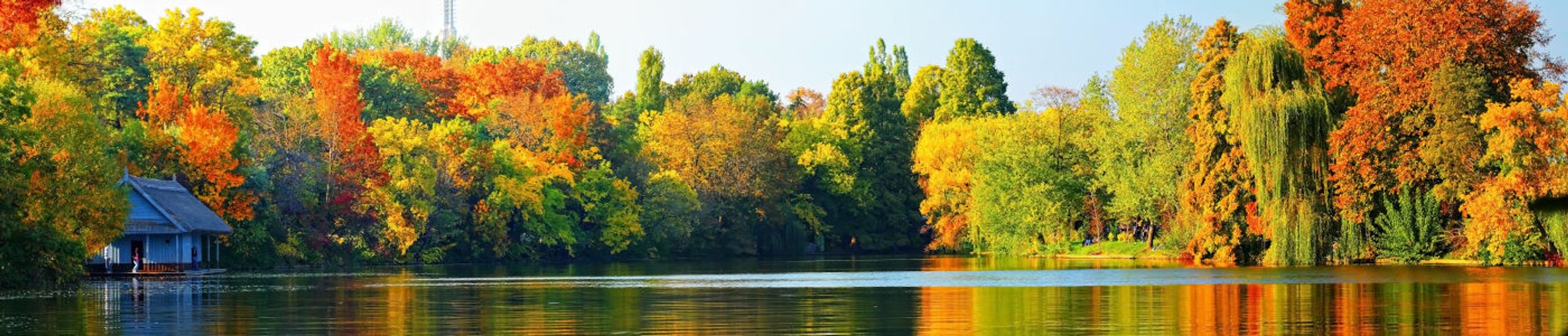 IN Auto & Home Insurance Agent Mary Rokicki - State Farm®