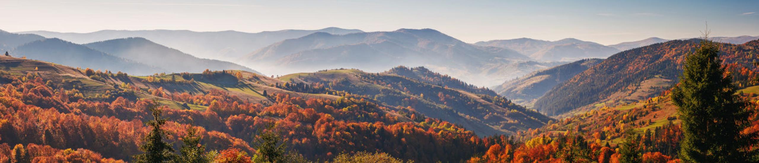 GA Auto & Home Insurance Agent Dan Combs - State Farm®