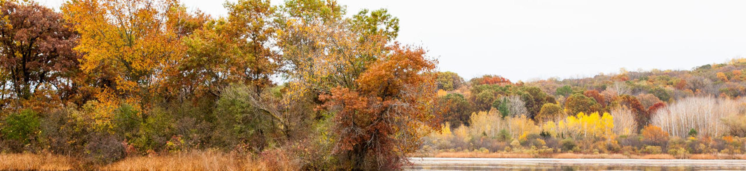 AZ Auto & Home Insurance Agent Tracy Murr - State Farm®