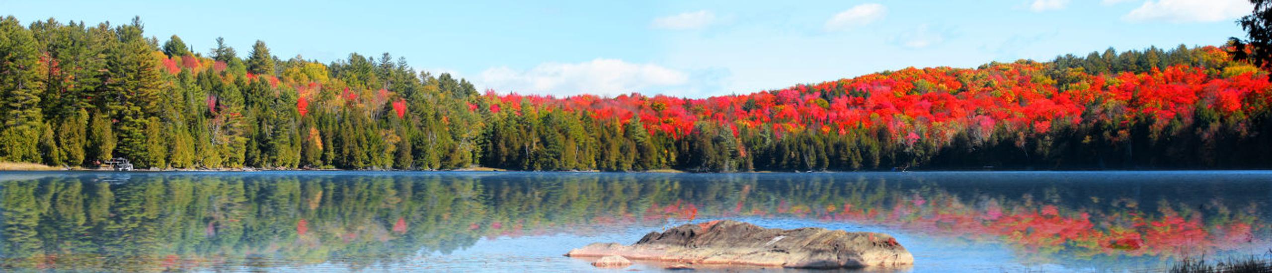 NC Auto & Home Insurance Agent Chris Canady - State Farm®