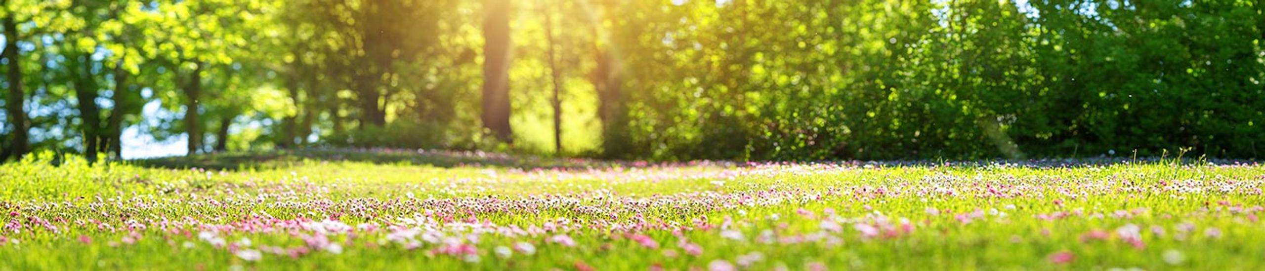 FL Auto & Home Insurance Agent Brigit Smallridge - State Farm®