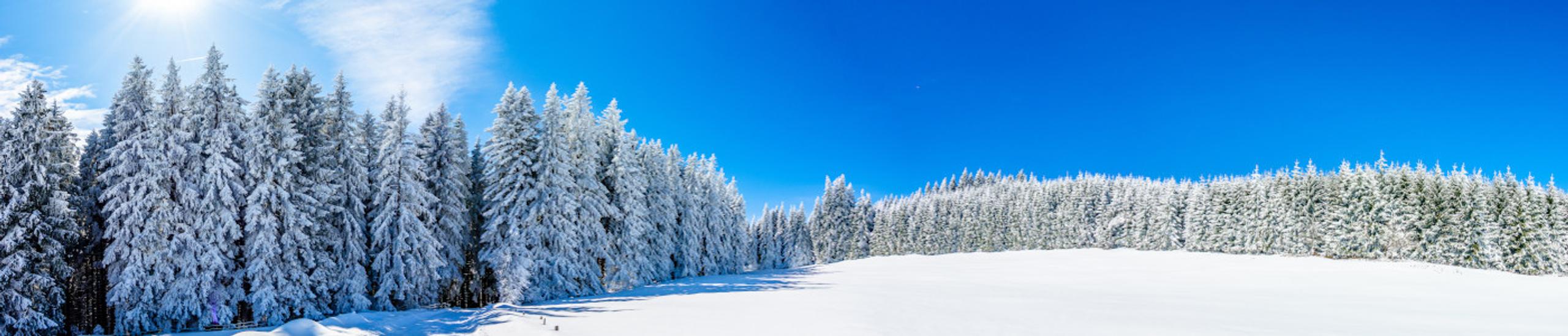 Home, Auto Insurance & More in MN | Kim Kotzer – State Farm®