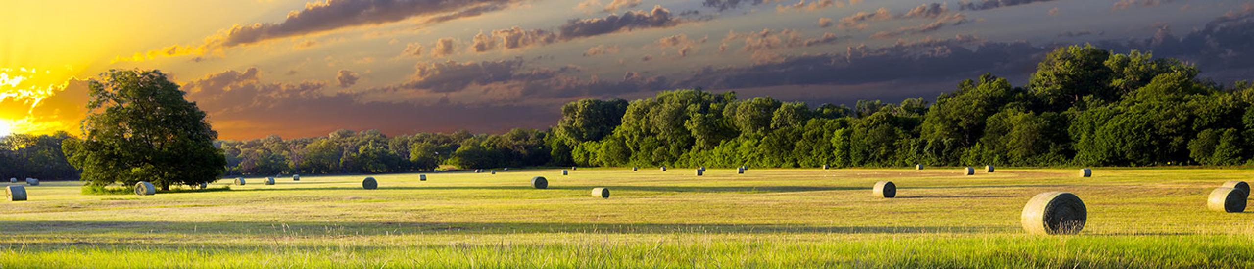 Home, Auto Insurance & More in TX | Blake Miller – State Farm®