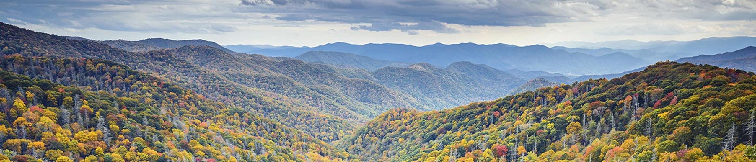 TN Auto & Home Insurance Agent Larry Weems - State Farm®